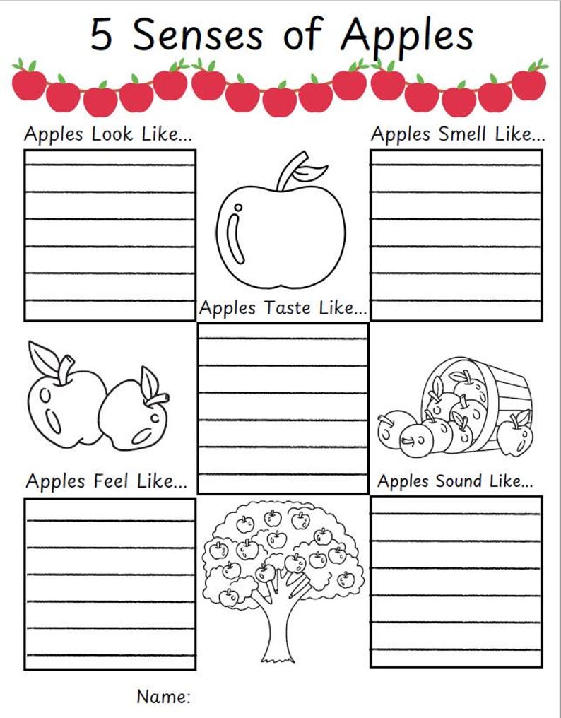 5 Senses of Apples - Etsy