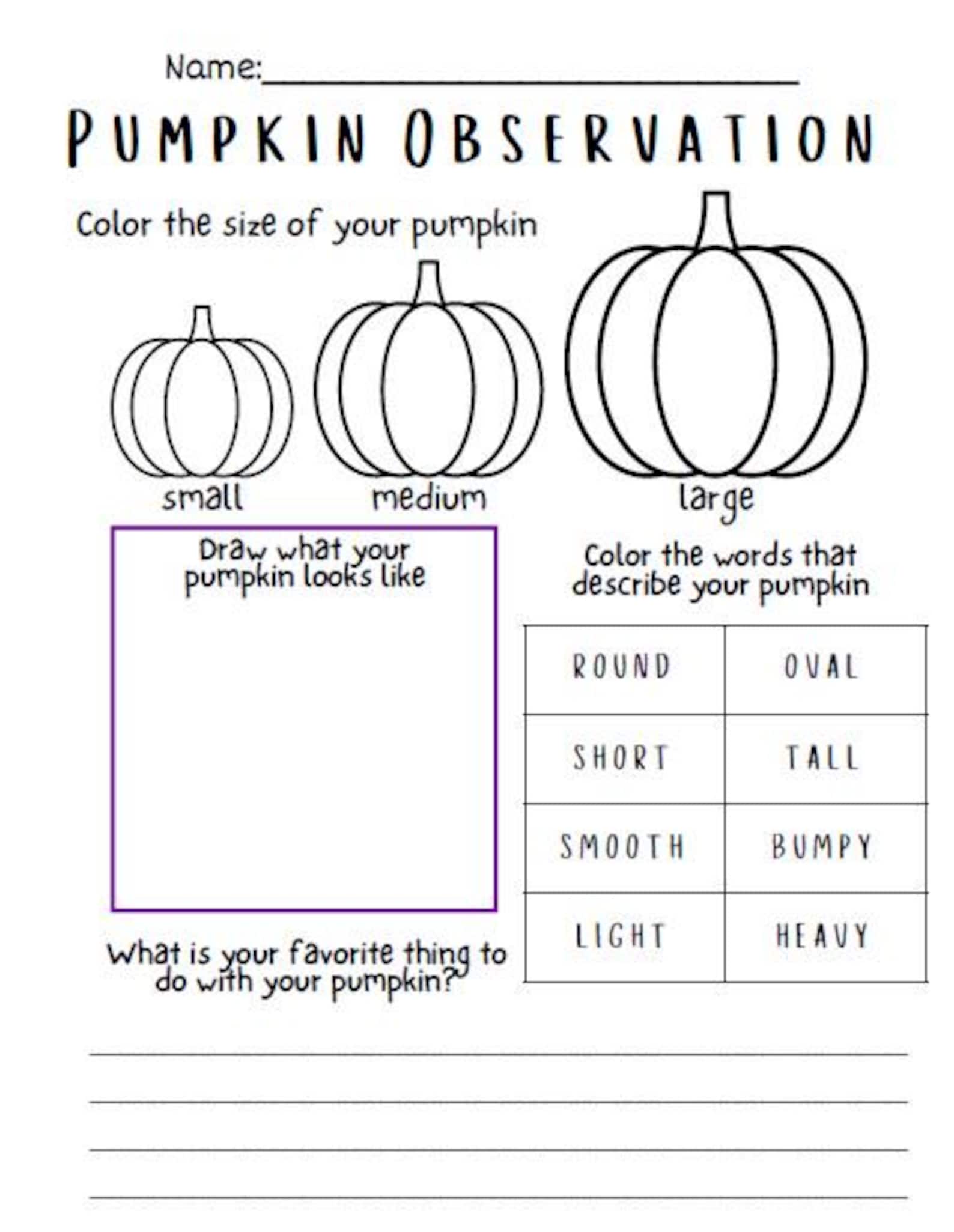 Pumpkin Observation Worksheet - Etsy