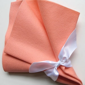 Wool Felt, Coral Pink, 100% Merino, 18 X 18 Inch, Soft Felt, Non Woven ...