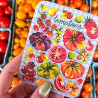 Tomato Seed Packet Vinyl Sticker | Cute Fruit Sticker | Die Cut ...