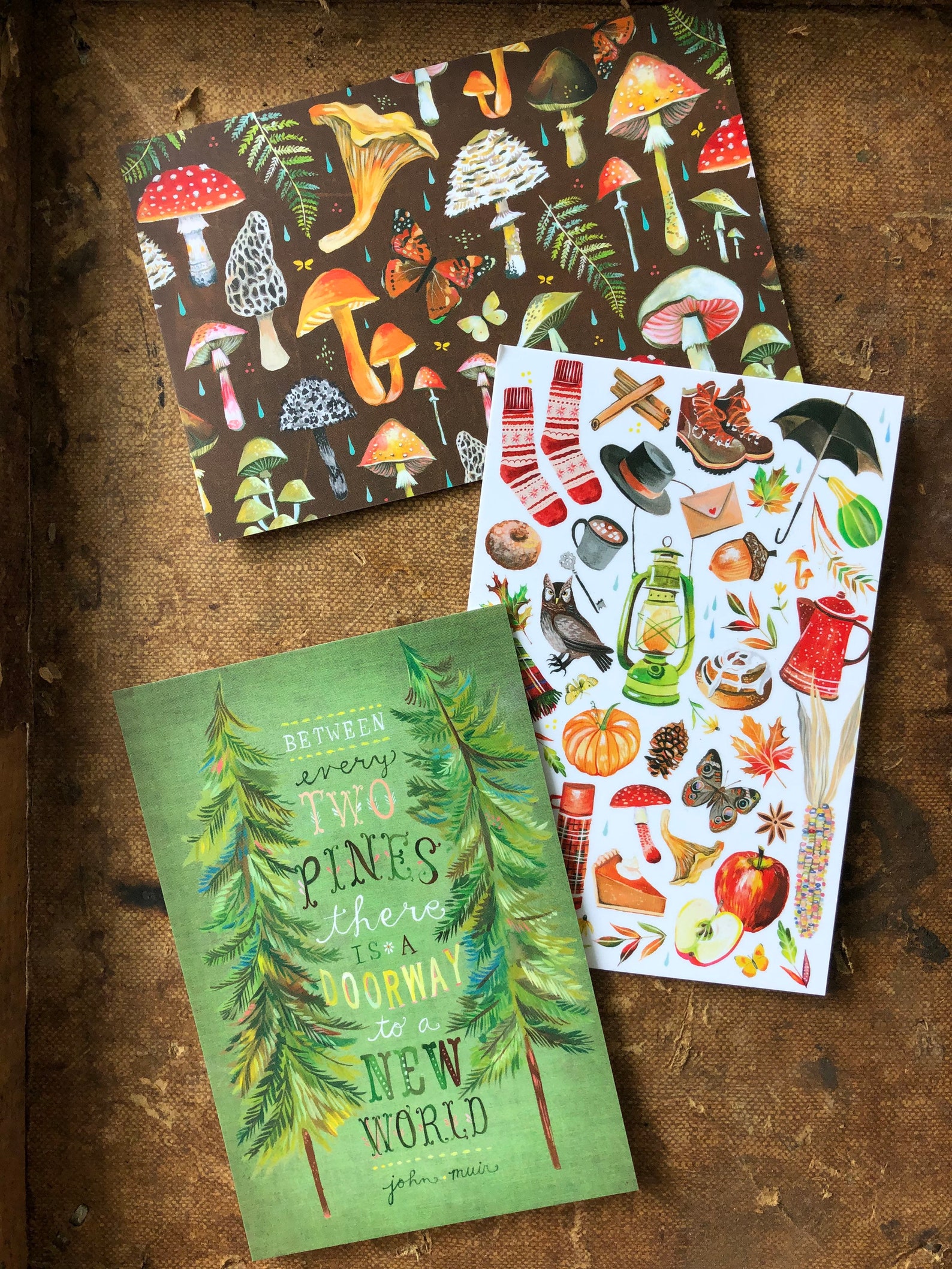 Autumn Delights Postcard Set Stationery | Etsy