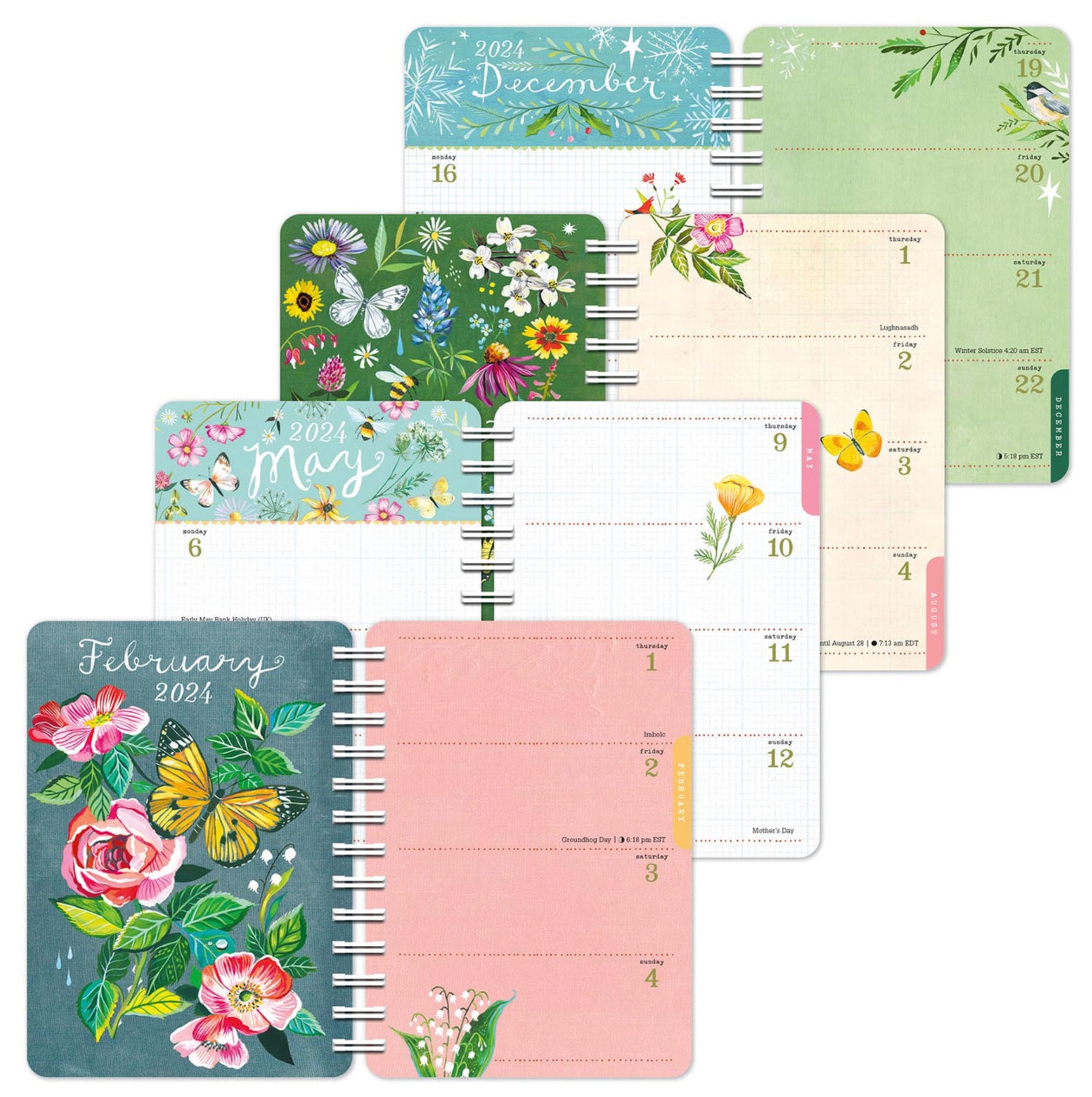 2024 Planner | Wild Beauty | Katie Daisy Datebook
