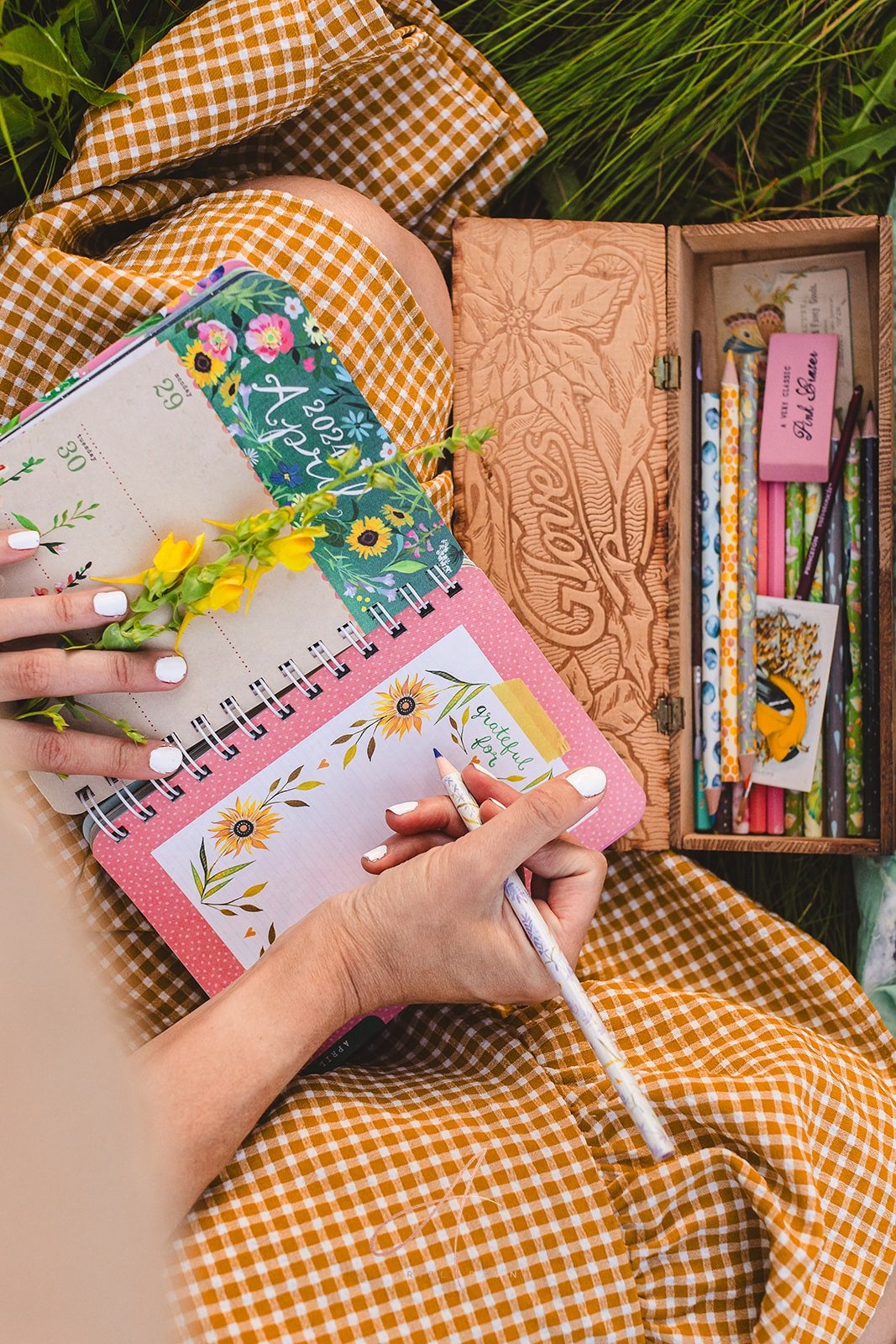 2024 Planner | Wild Beauty | Katie Daisy Datebook