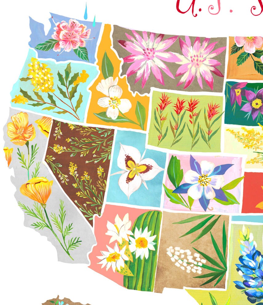 US State Flowers Educational Wall Art Watercolor Geography - Etsy UK