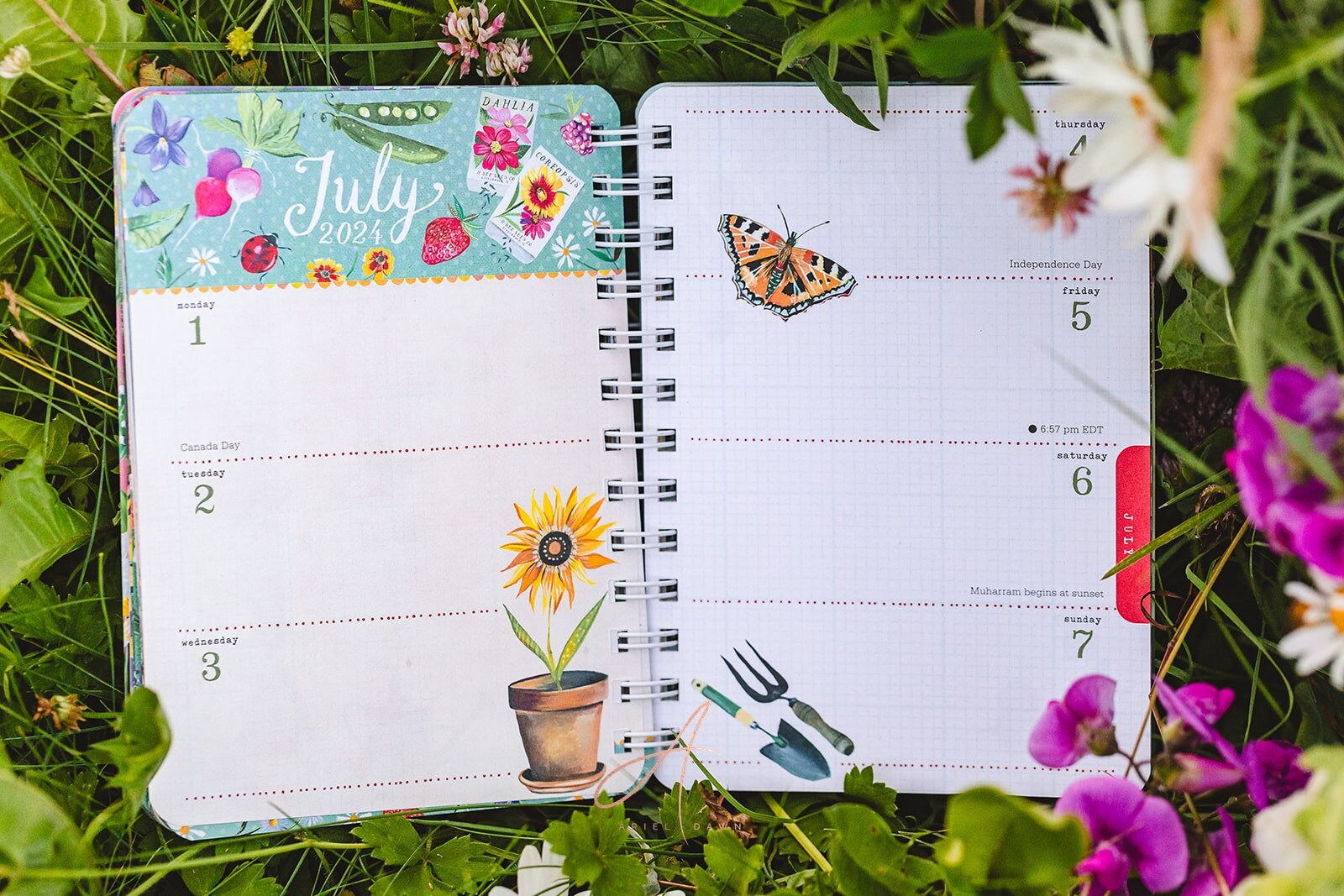 2024 Planner | Wild Beauty | Katie Daisy Datebook