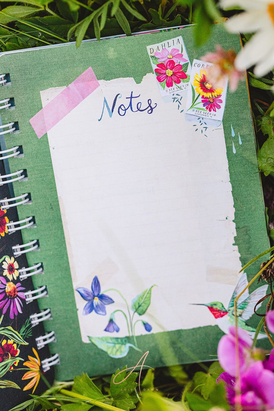 2024 Planner | Wild Beauty | Katie Daisy Datebook