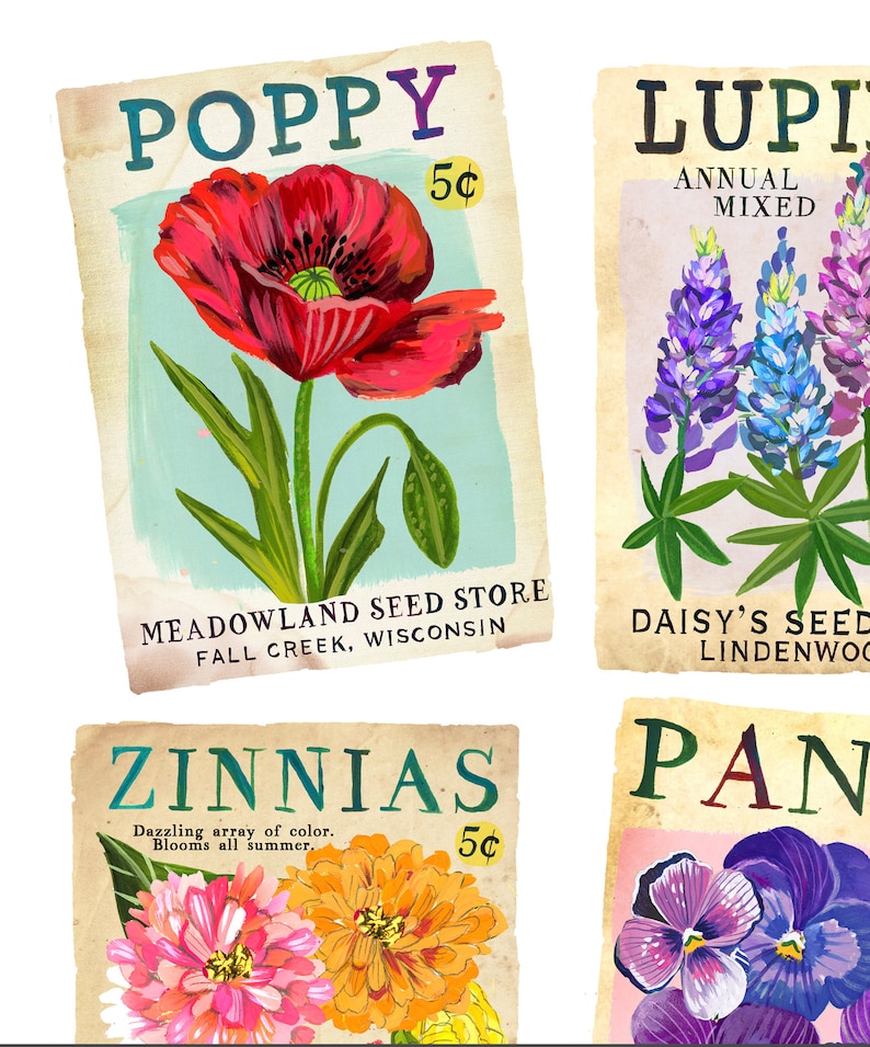 Vintage Seed Packets Art Print | Garden Painting | Katie Daisy | 8x10 ...