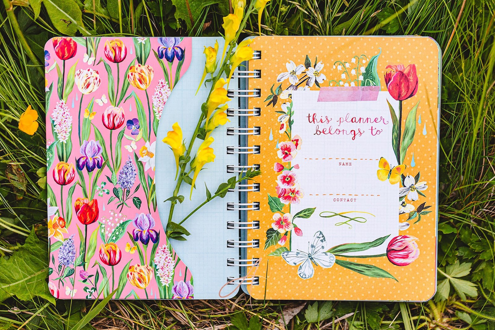 2024 Planner | Wild Beauty | Katie Daisy Datebook
