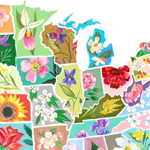US State Flowers | Educational Wall Art | Watercolor Geography | Flower ...