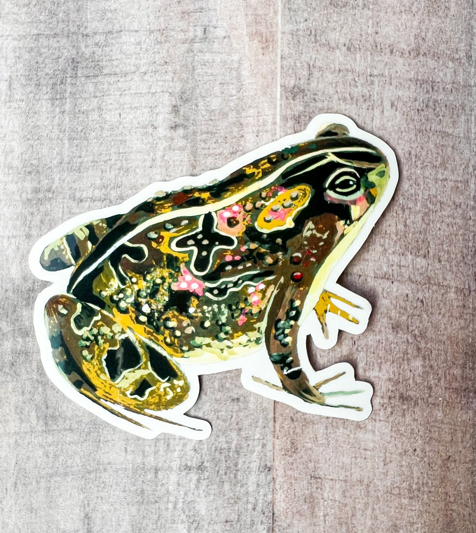 Garden Toad Clear Sticker - Etsy