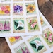 Seed Packet Sticker Sheets - Etsy UK