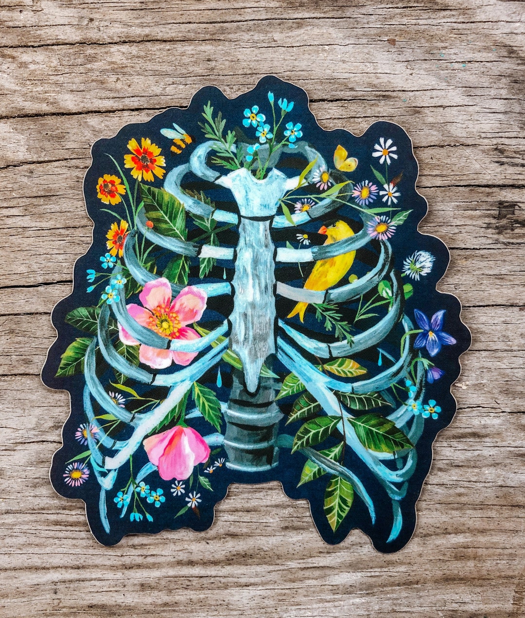 Rib Cage - Matte Sticker - Etsy