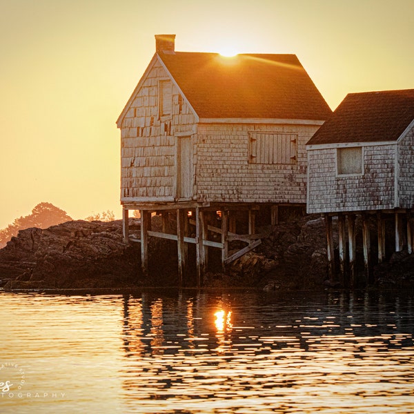 Golden Beach Weather - Etsy