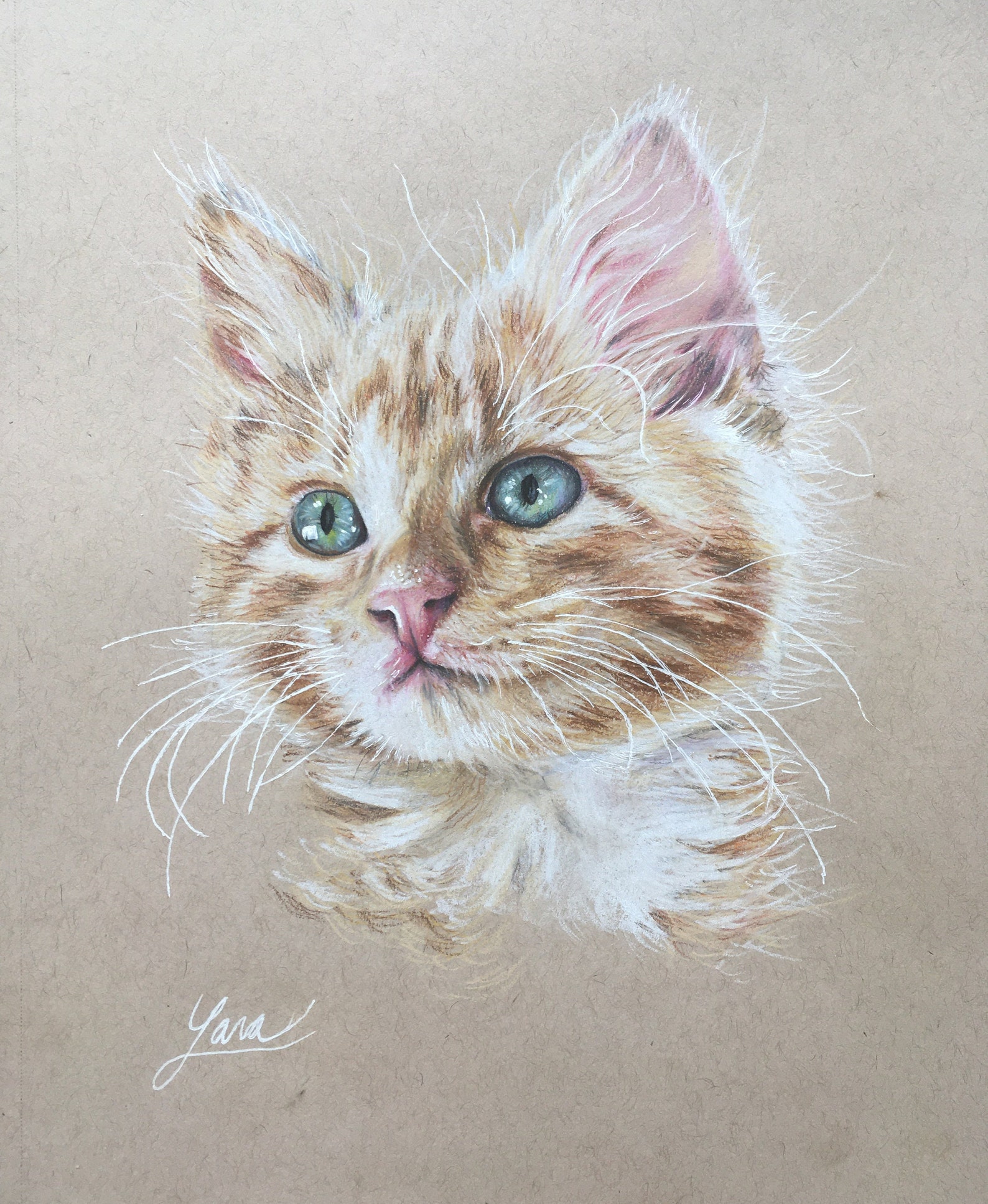 Hand Drawn Portraits & Commissions - Etsy