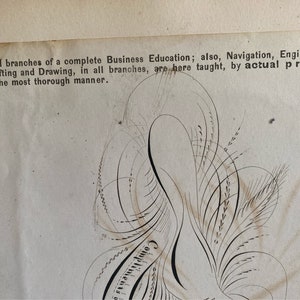 Antique (late 1800s) Framed and Signed Fancy Penmanship Drawing ...