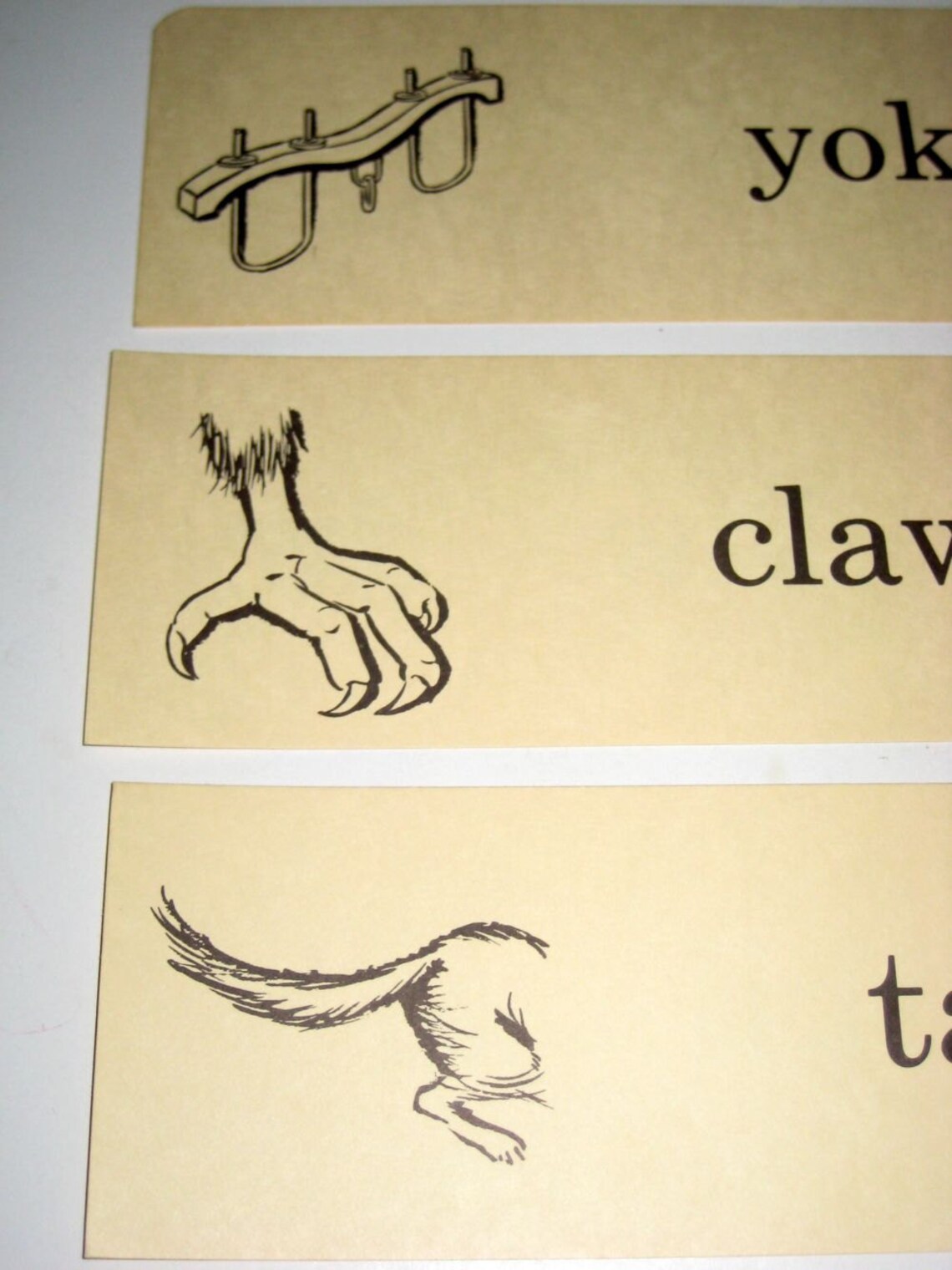 3 Vintage 1960 Flash Cards Yoke Claw Tail Group Size - Etsy