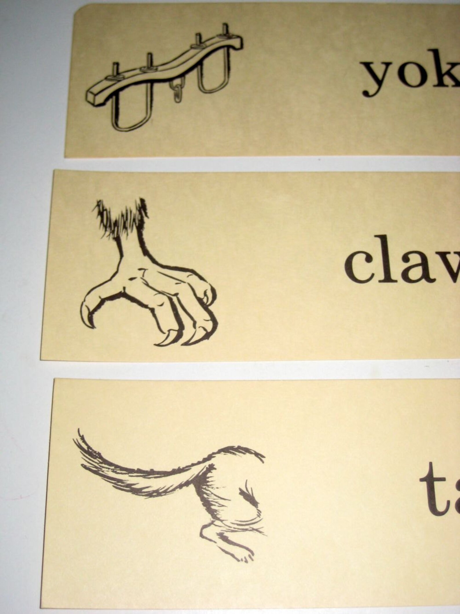 3 Vintage (1960) Flash Cards - Yoke, Claw, Tail - Group Size Phonics ...