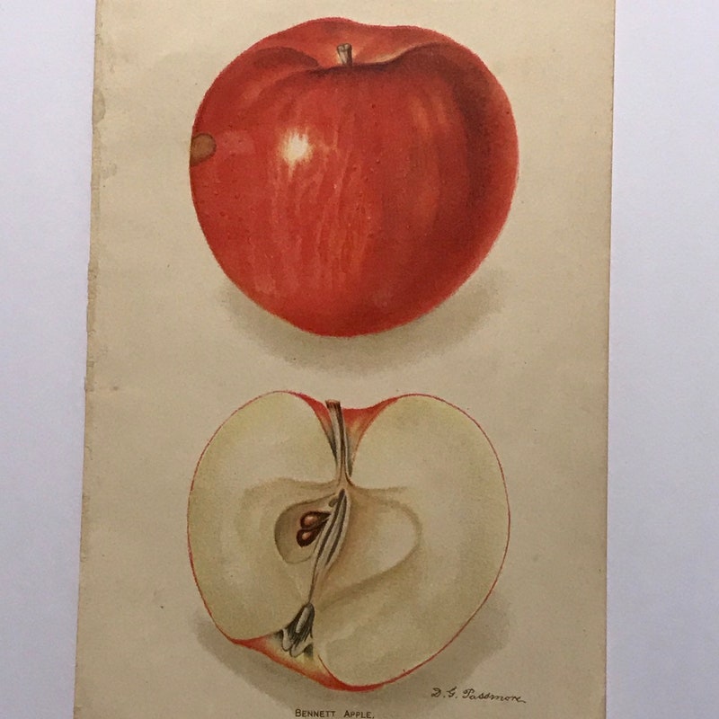 Agricultural Decor - Etsy