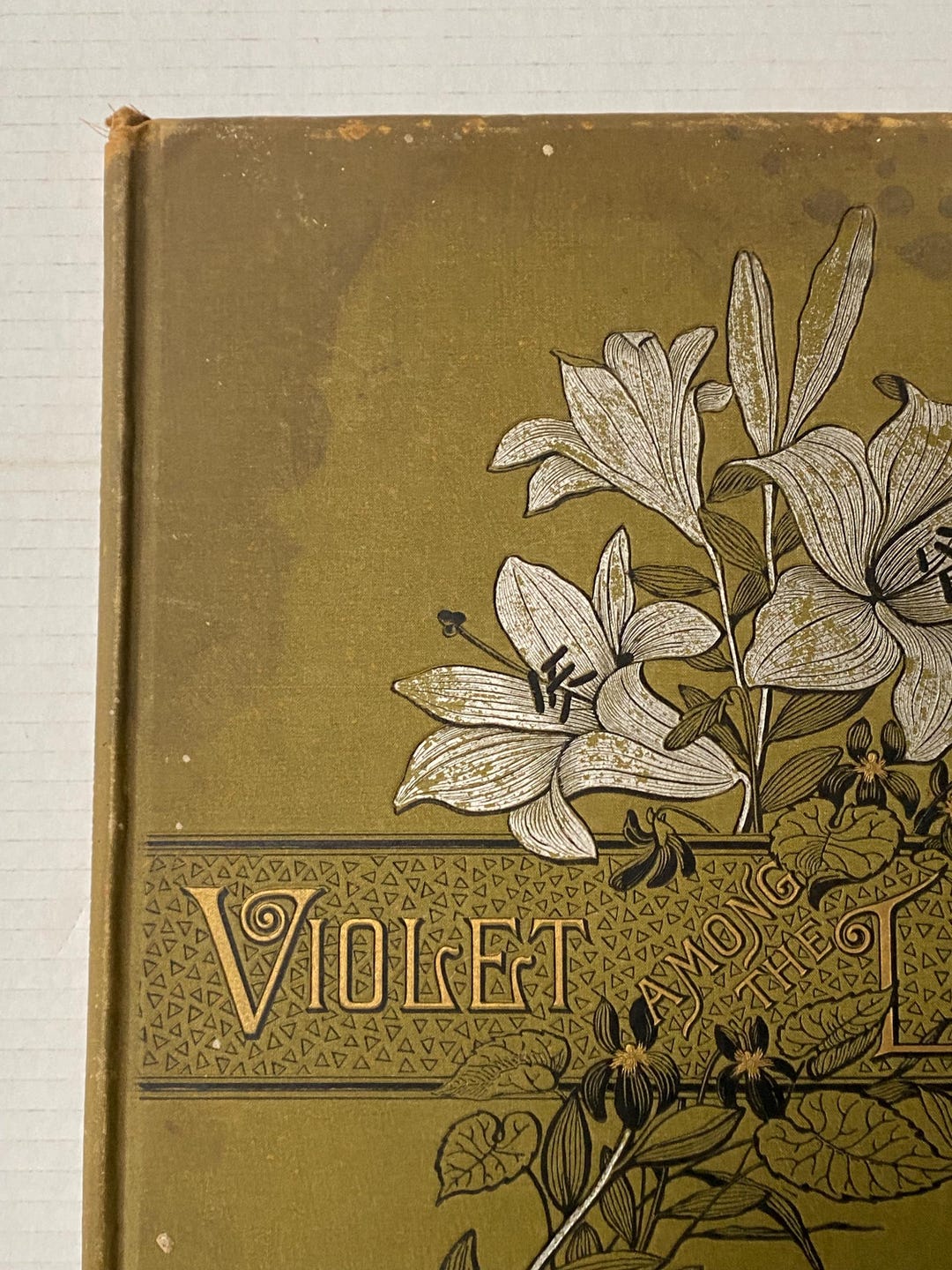 Antique (1885) Book - Violet Among the Lilies, L. Clarkson - Beautuful ...