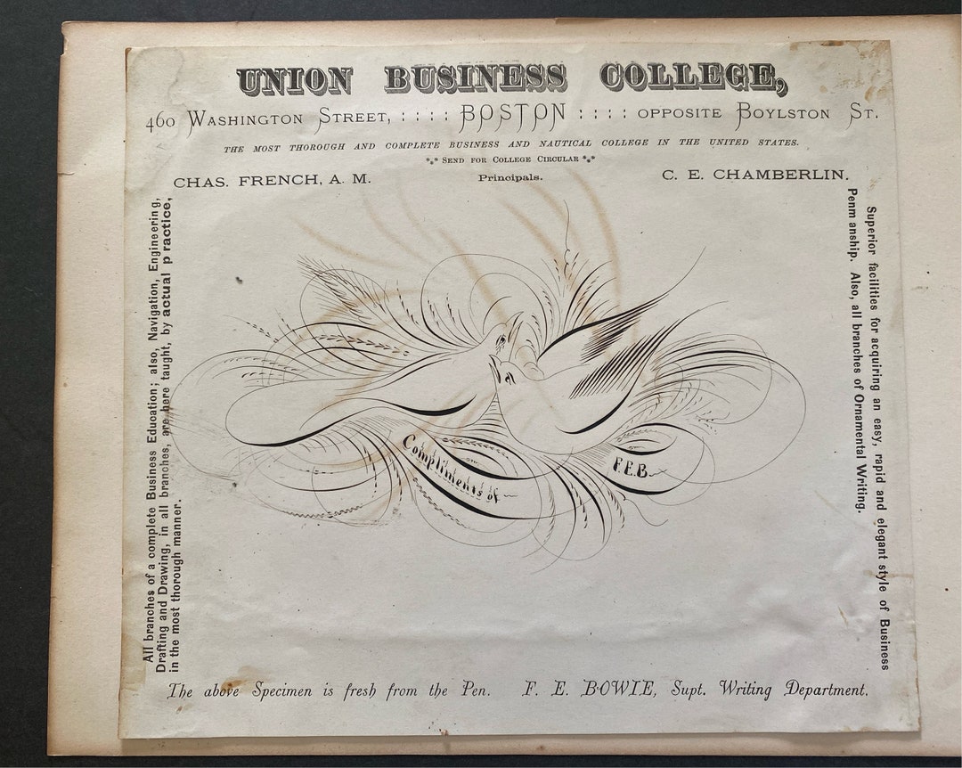 Antique (late 1800s) Framed and Signed Fancy Penmanship Drawing ...