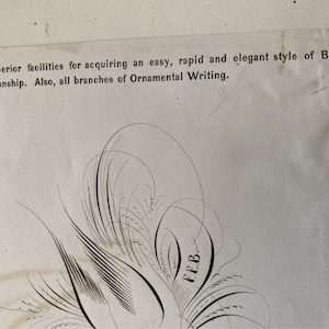 Antique (late 1800s) Framed and Signed Fancy Penmanship Drawing ...