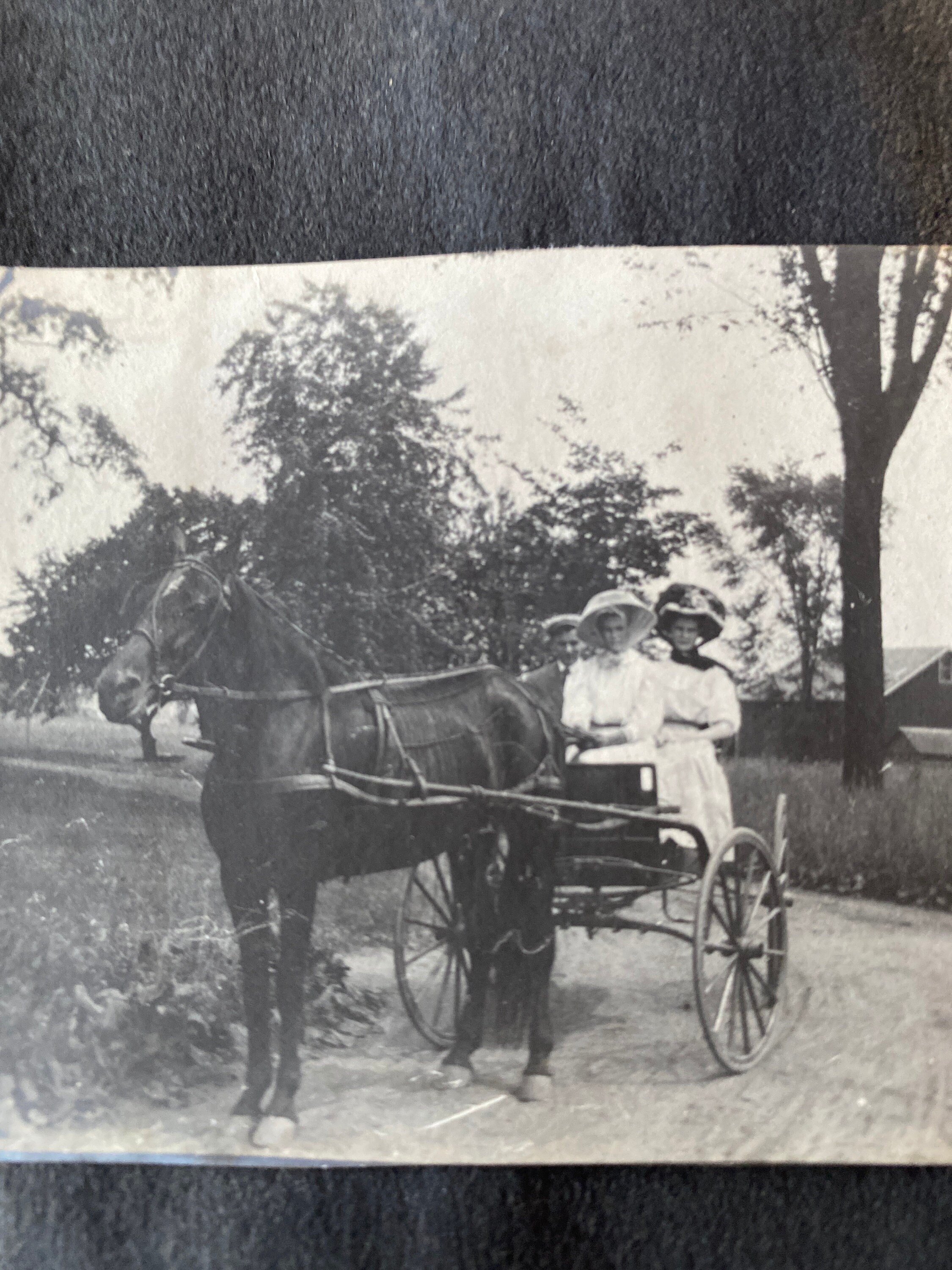 Small Antique Paper Scrapbook With Photos From Early 1900s - Etsy