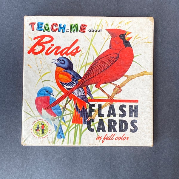 Bird Flash Cards - Etsy