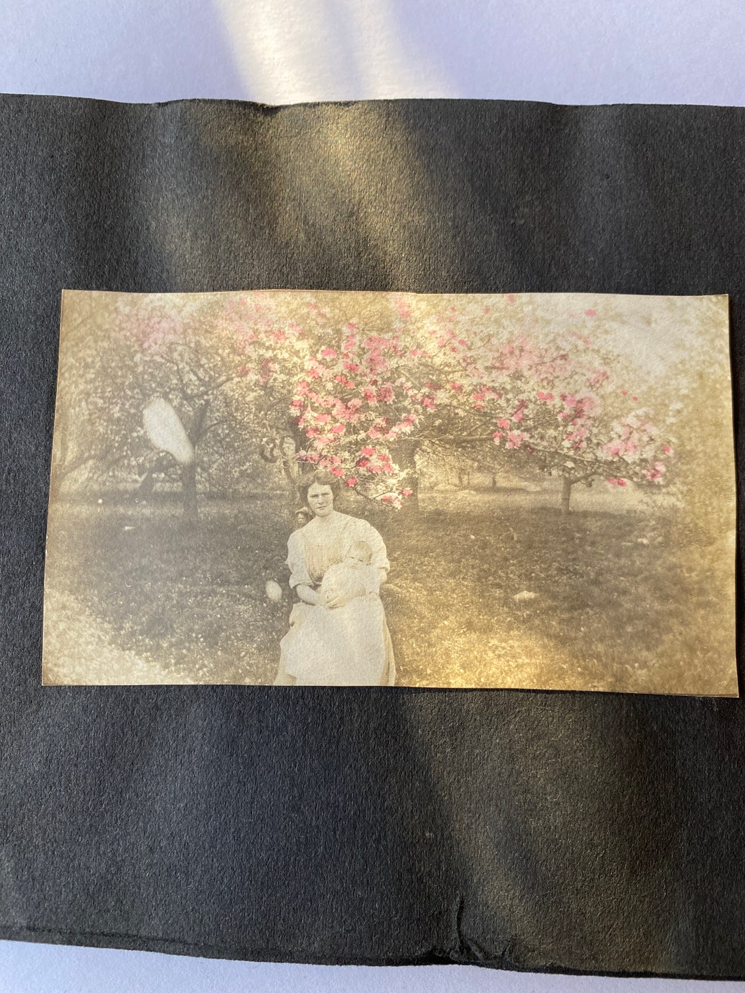 Small Antique Paper Scrapbook With Photos From Early 1900s - Etsy