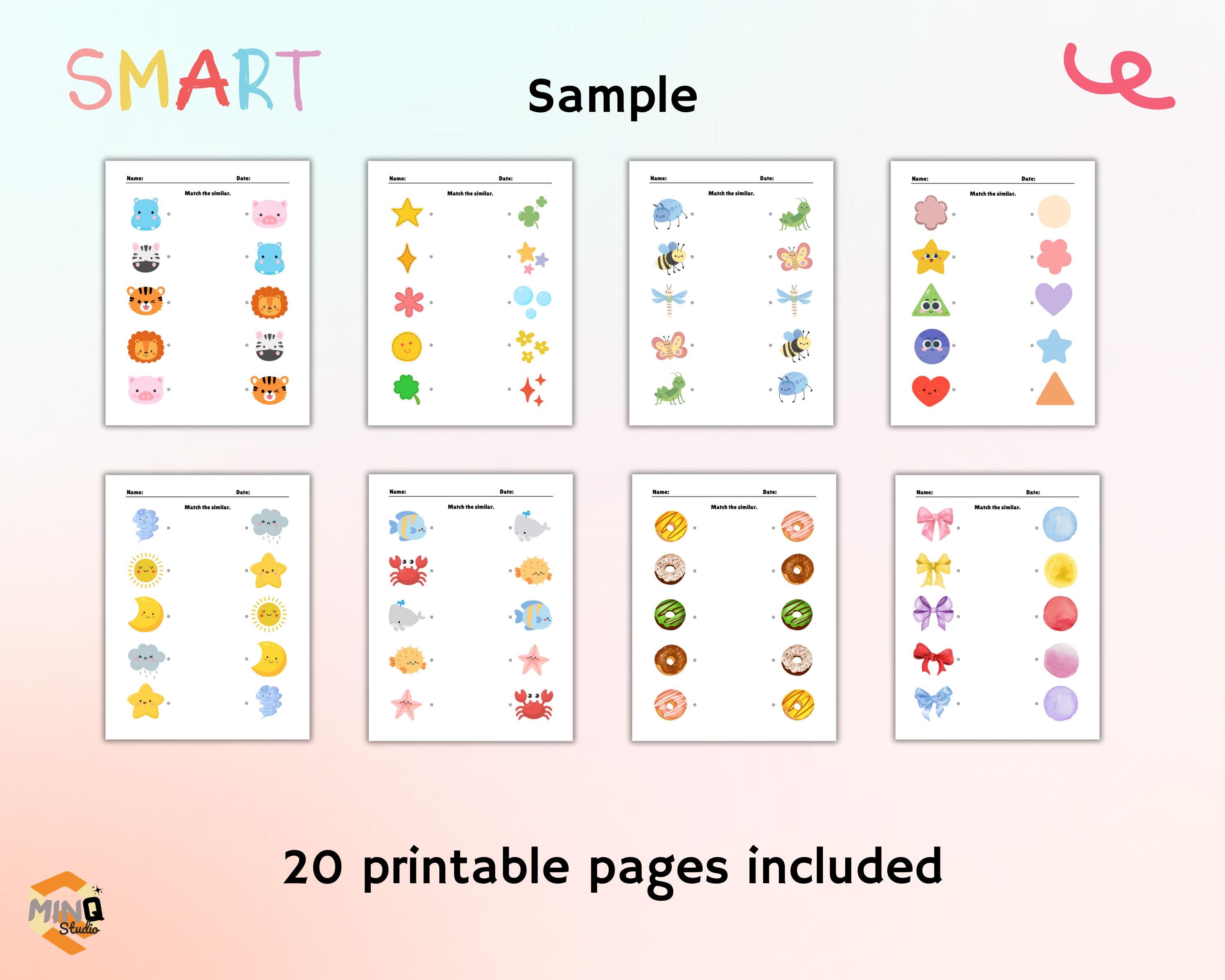 20 Printable Matching Worksheet I Preschool Matching Activity for Kids ...