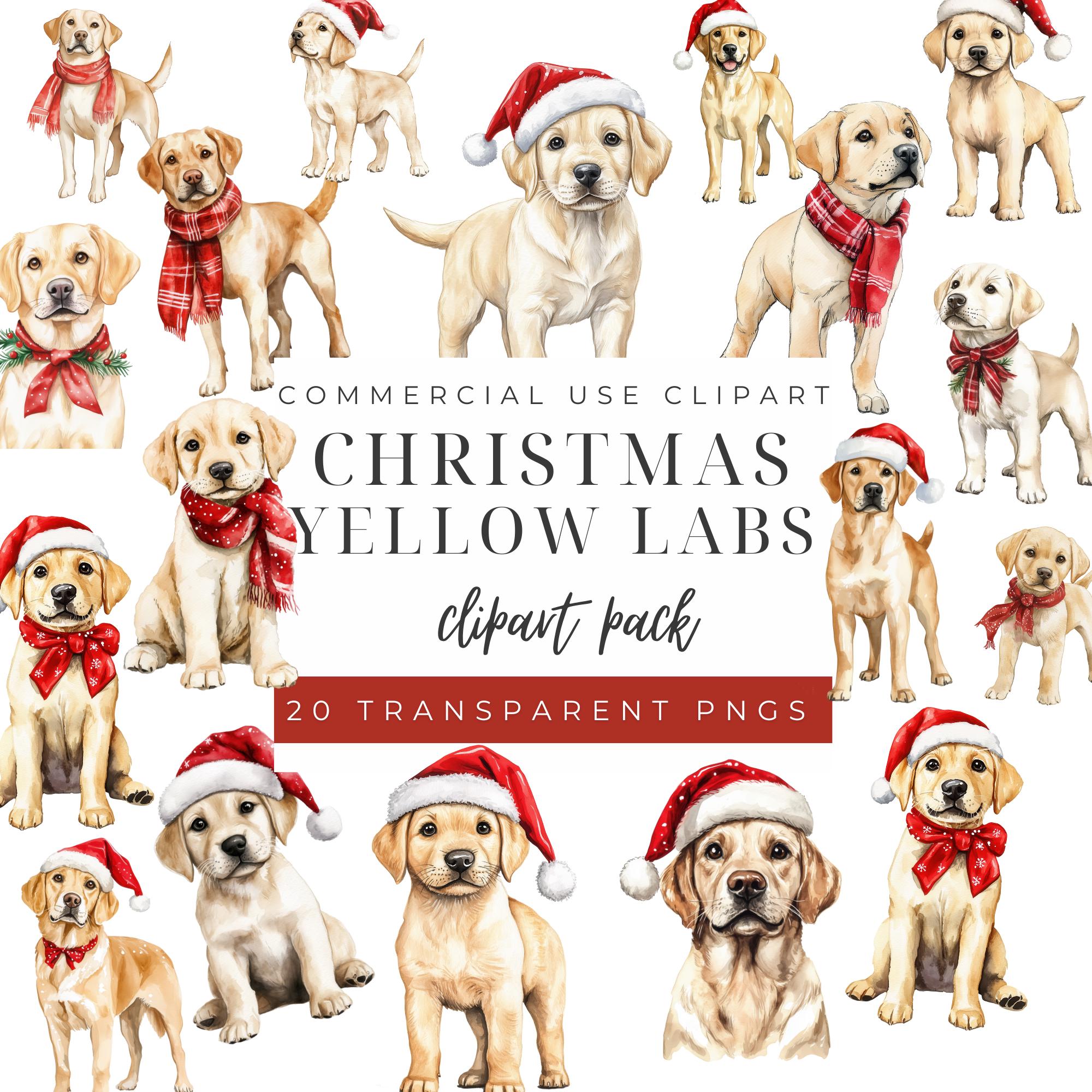 Yellow Lab Christmas Clipart, Watercolor Labrador PNG, Holiday Art for ...