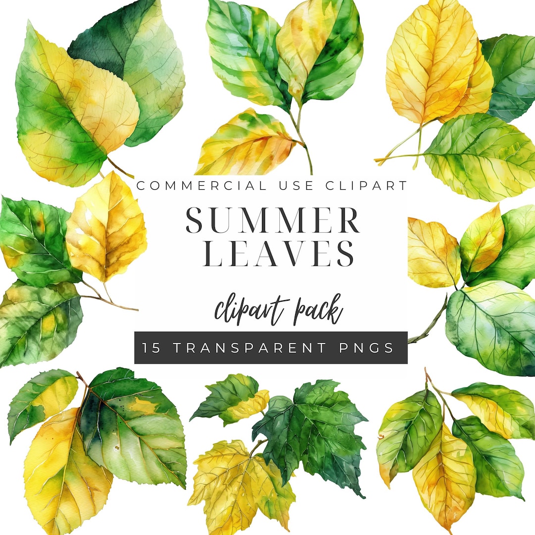 Clipart Late Summer, Watercolor Floral Elements, Digital, Commercial ...