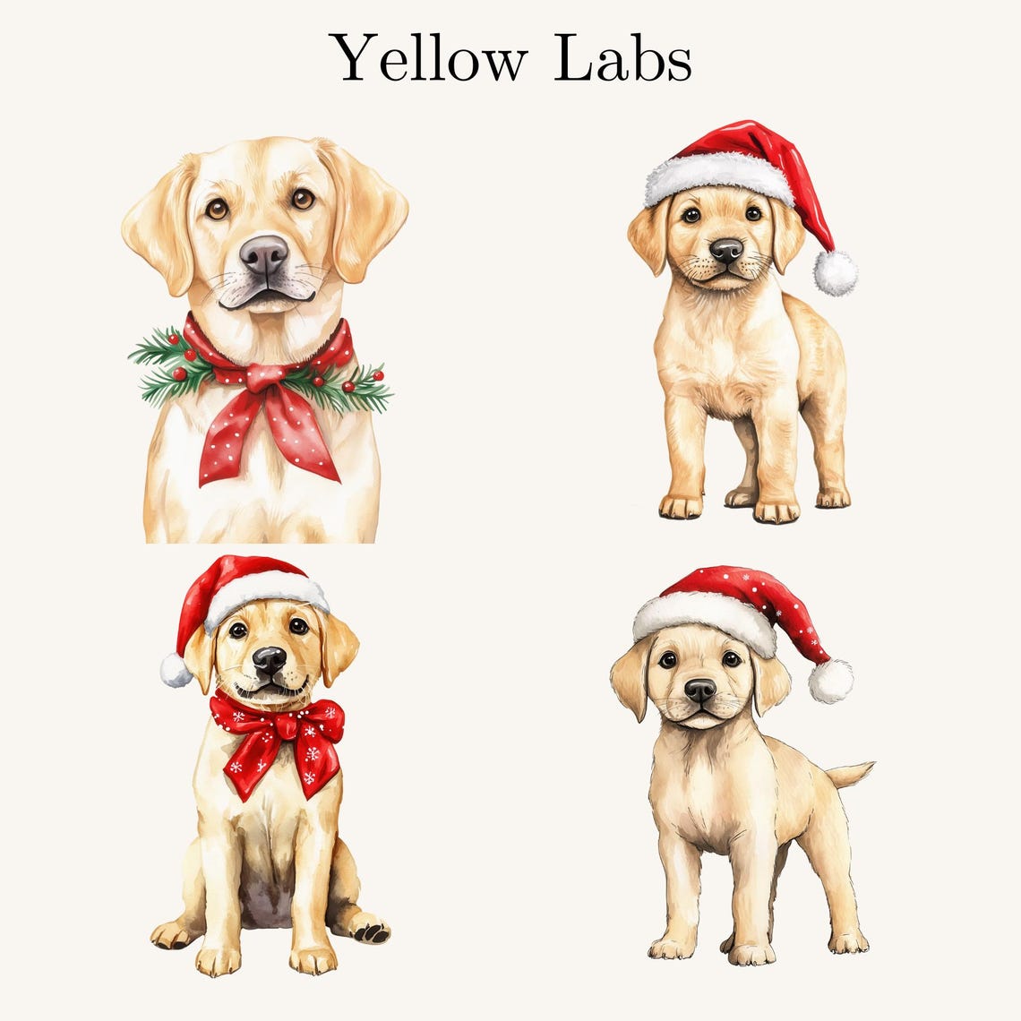 Yellow Lab Christmas Clipart, Watercolor Labrador PNG, Holiday Art for ...