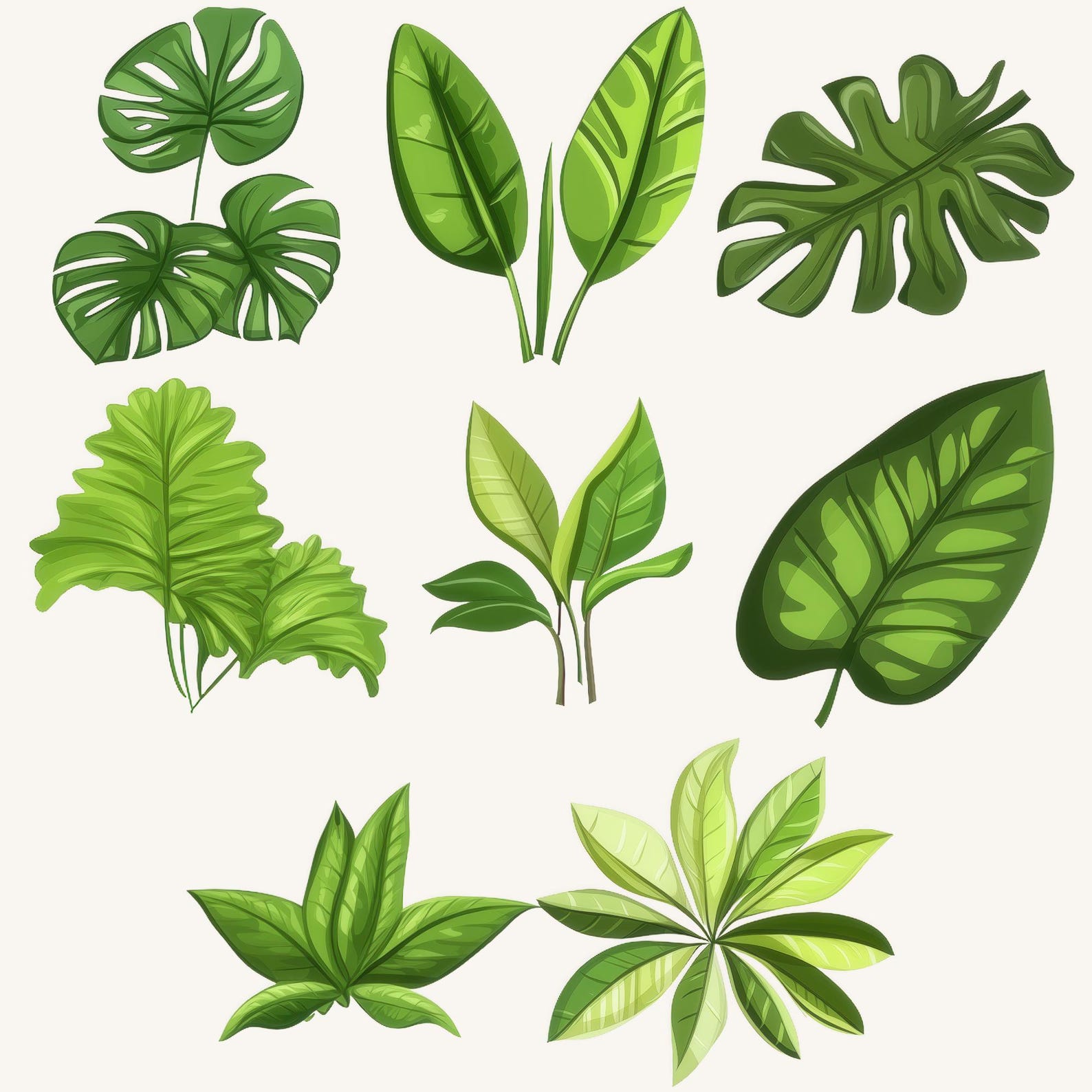 Jungle Safari Monkey Clipart - Digital Art for Boys - Instant Download ...