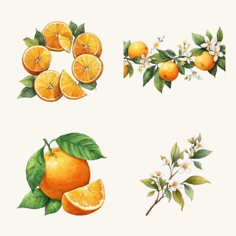 Little Cutie Pie Clipart, Watercolor Pumpkin Pie, Baby Shower Decor ...