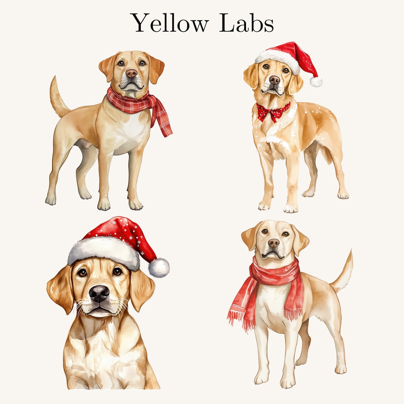 Yellow Lab Christmas Clipart, Watercolor Labrador PNG, Holiday Art for ...