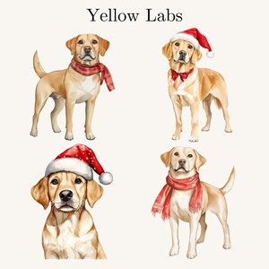Yellow Lab Christmas Clipart, Watercolor Labrador PNG, Holiday Art for ...
