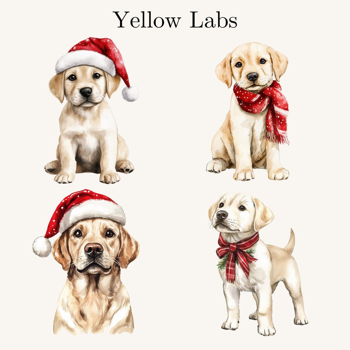 Yellow Lab Christmas Clipart, Watercolor Labrador PNG, Holiday Art for ...