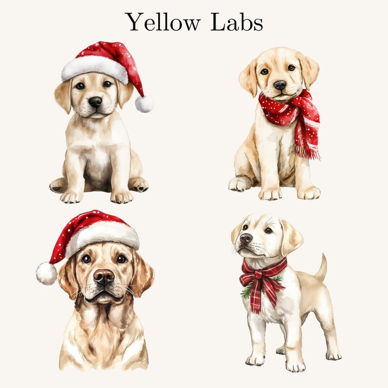 Yellow Lab Christmas Clipart, Watercolor Labrador PNG, Holiday Art for ...