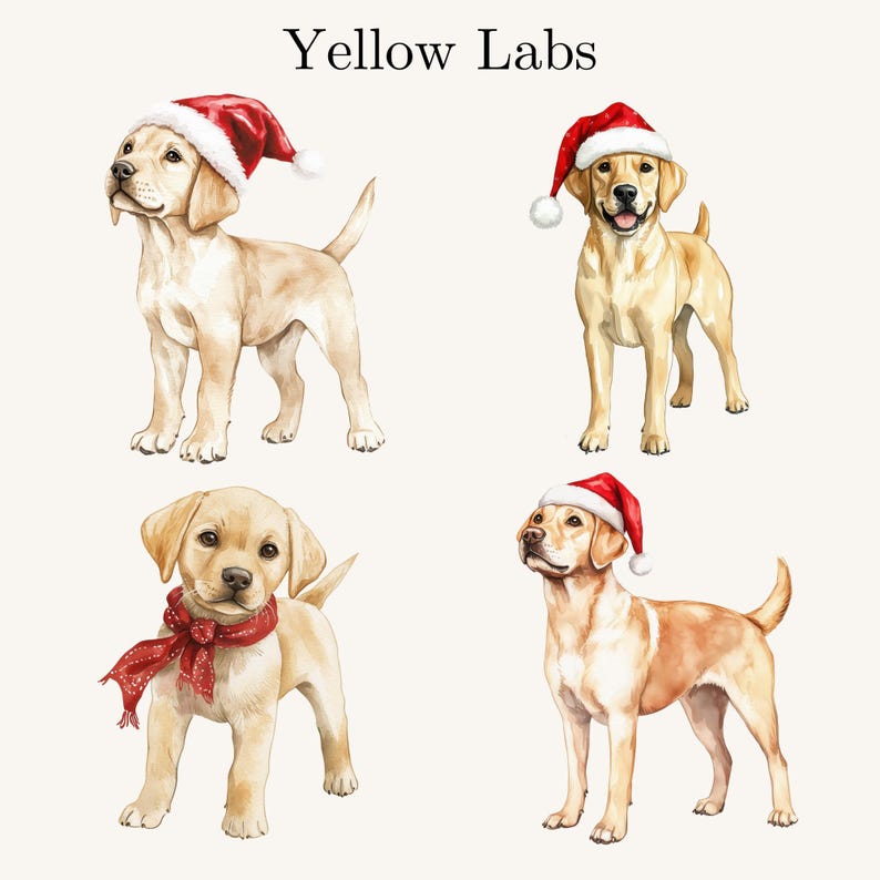 Yellow Lab Christmas Clipart, Watercolor Labrador PNG, Holiday Art for ...