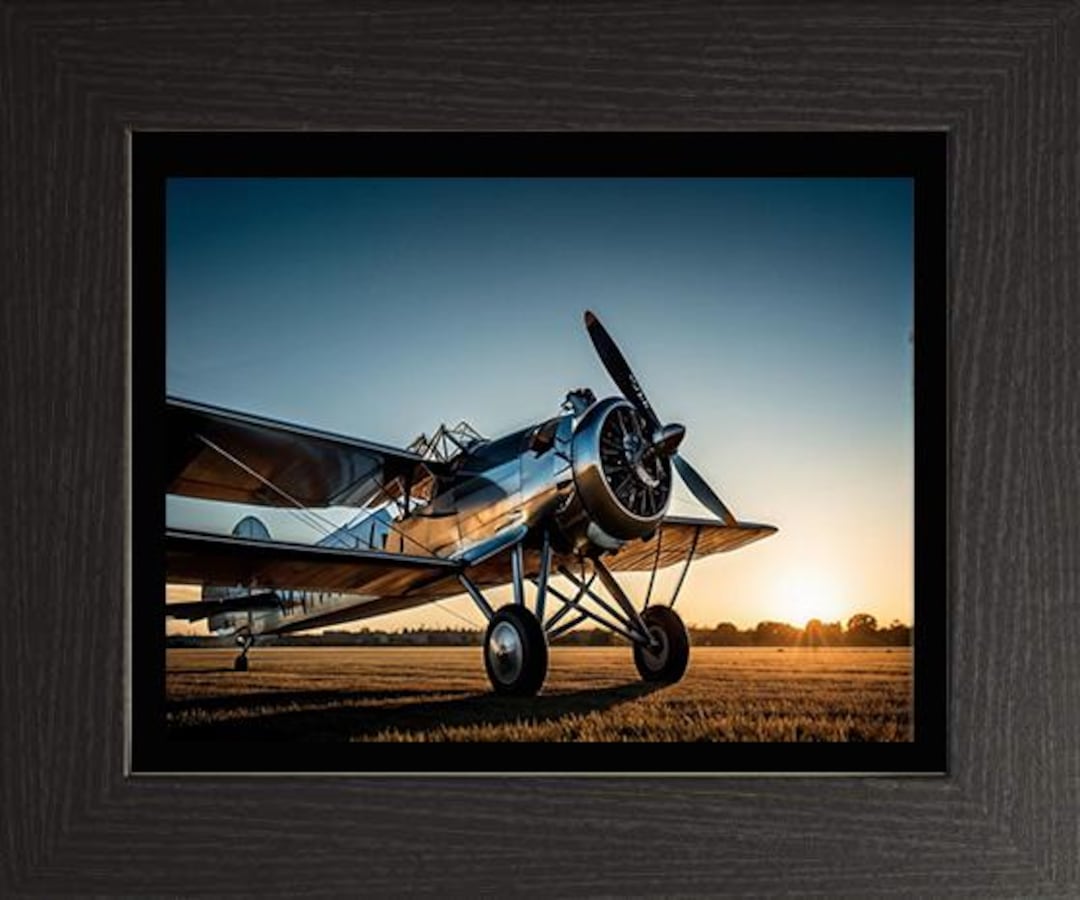 Fantasy 1930s Aviators in Their Polished Metal Aircraft Limited Edition ...