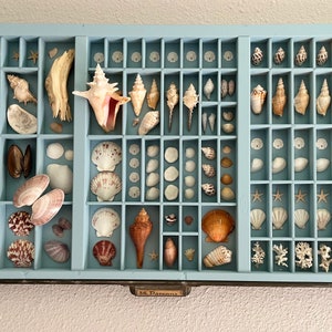 Printers Drawer - Etsy