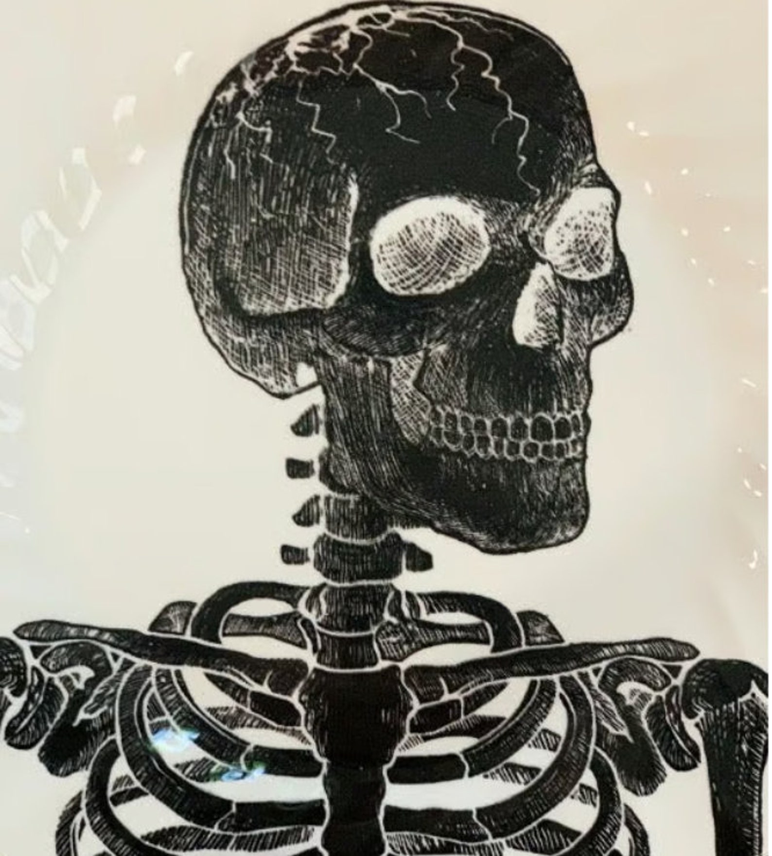 Royal Wessex Skeletonm X-ray Halloween Dinner Plates - Set of Six - Etsy
