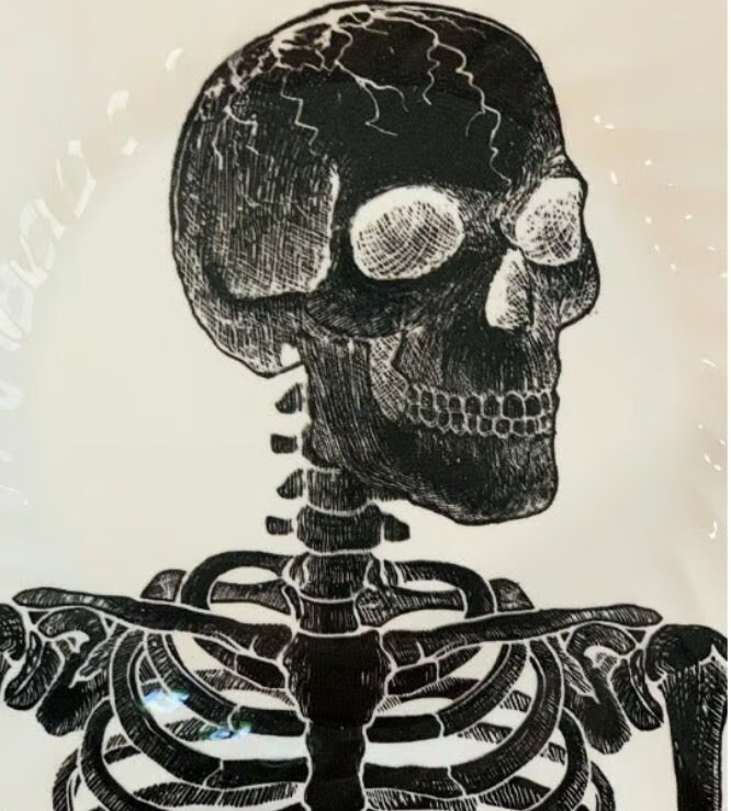 Royal Wessex Skeletonm X-ray Halloween Dinner Plates - Set of Six - Etsy