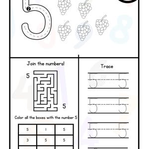 Numbers Activity Pack - Etsy