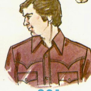 Authentic 304 Mens Western Shirt YOKE Pattern Shaped Yoke Adult 1970s ...