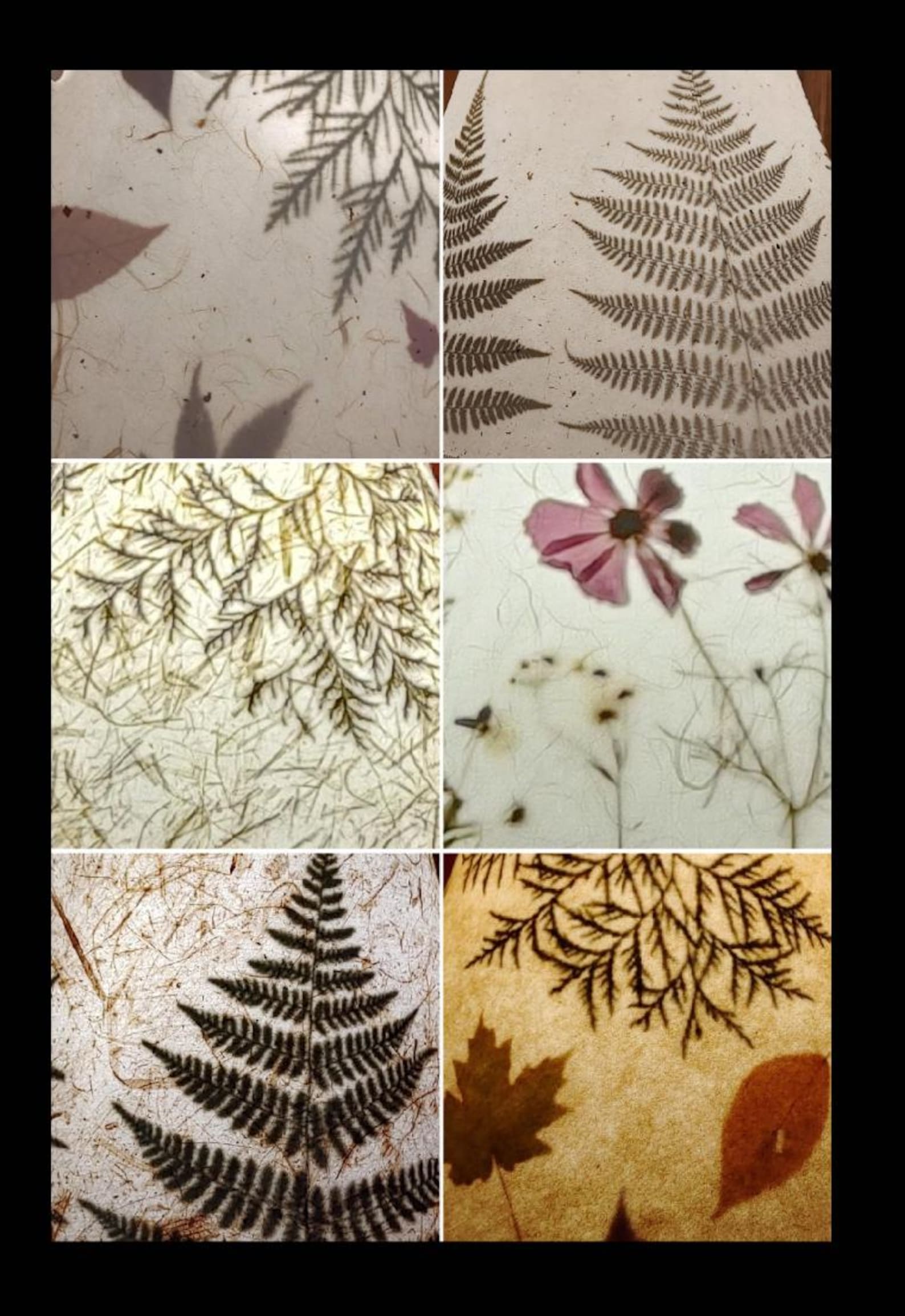 41008 Handmade Botanical Lamp Shade - Etsy