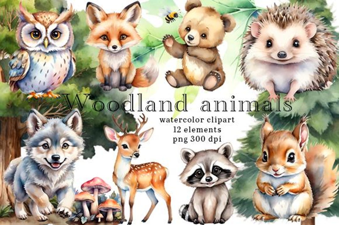 Watercolor Clipart, Cute Woodland Animals Clipart, Forest Animals PNG ...