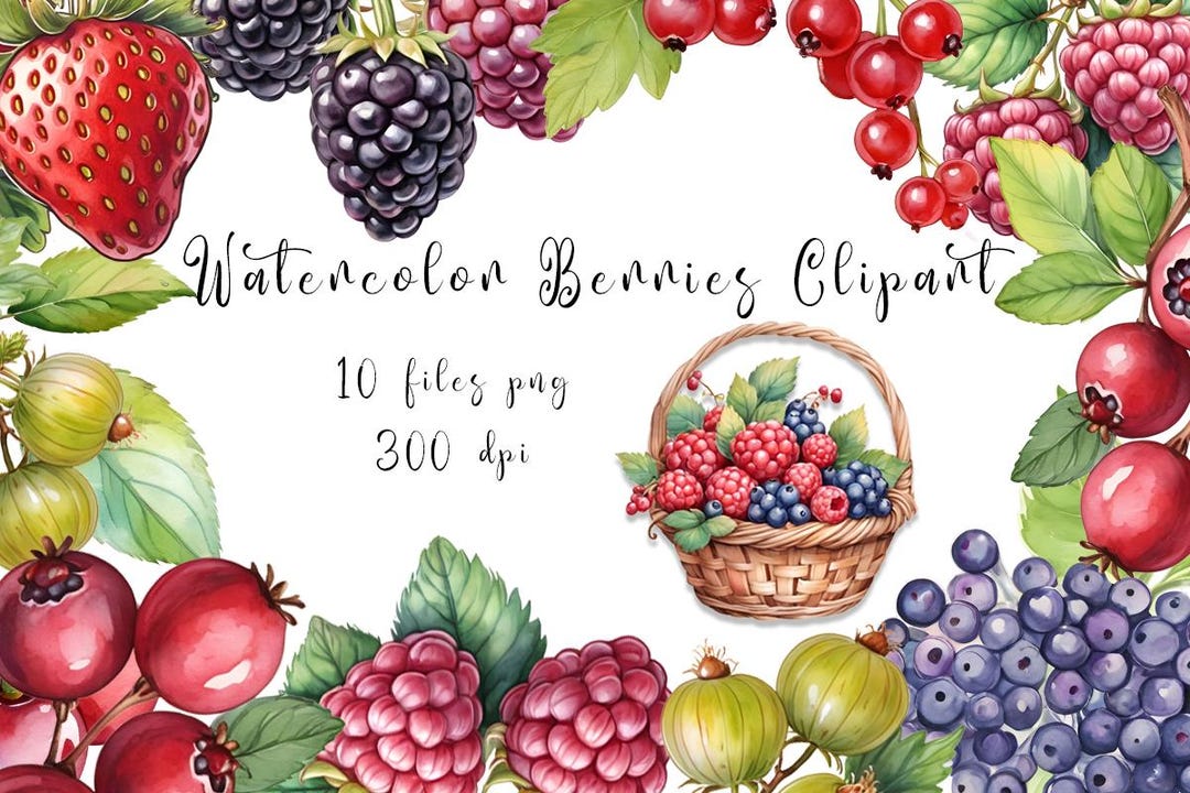 Watercolor Berries Clipart, Summer Clipart, Basket of Berries, Berry ...