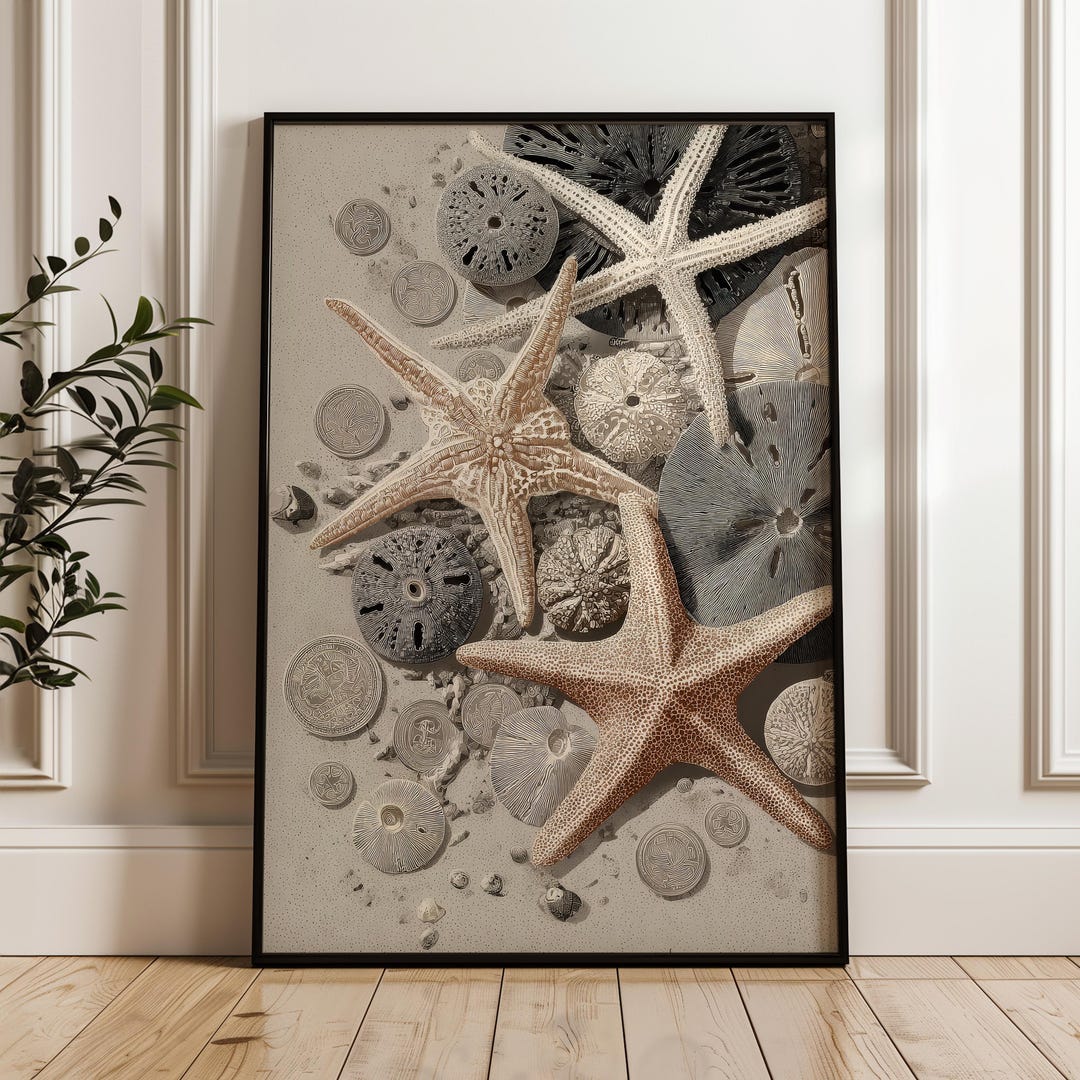 Starfish and Sea Urchins, Coastal Vintage, Digital Poster Download - Etsy