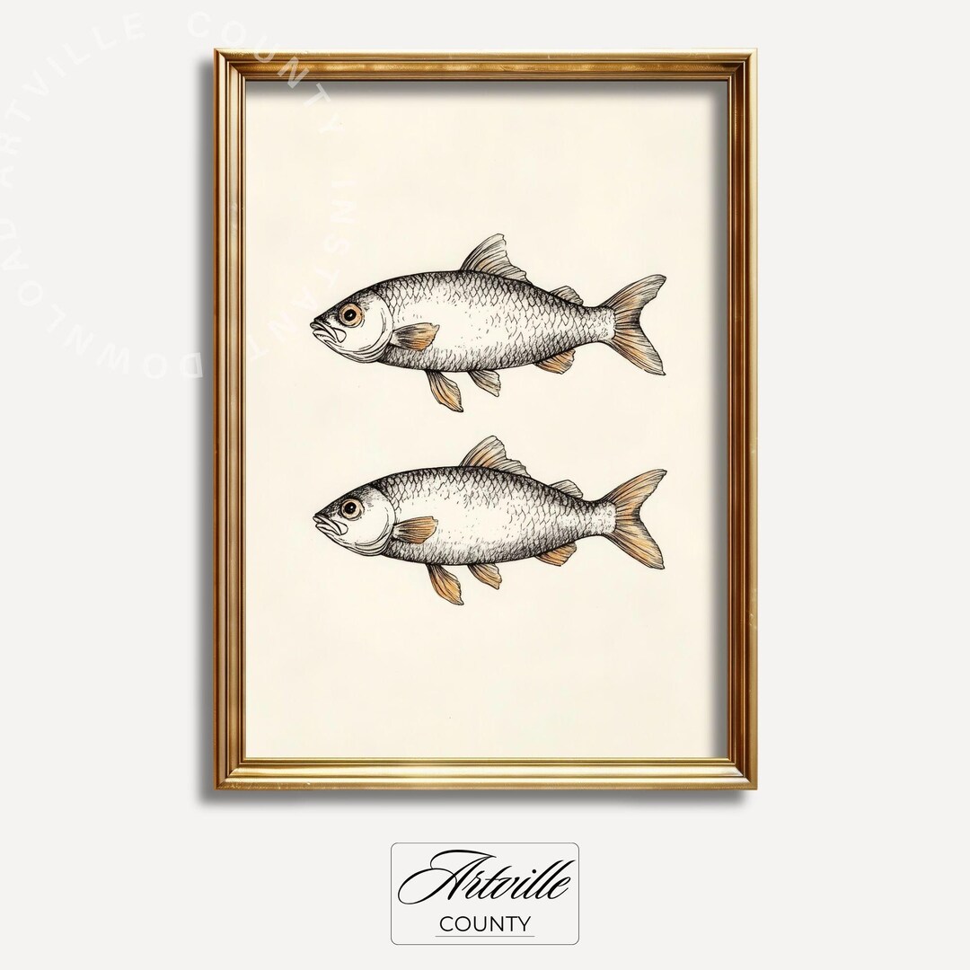 Minimalist Roach Fish Drawing, Vintage Ichthyology Wall Art, Nautical ...